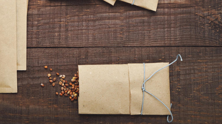 Seed Storage Mistakes Everyone Makes And Doesn't Realize It