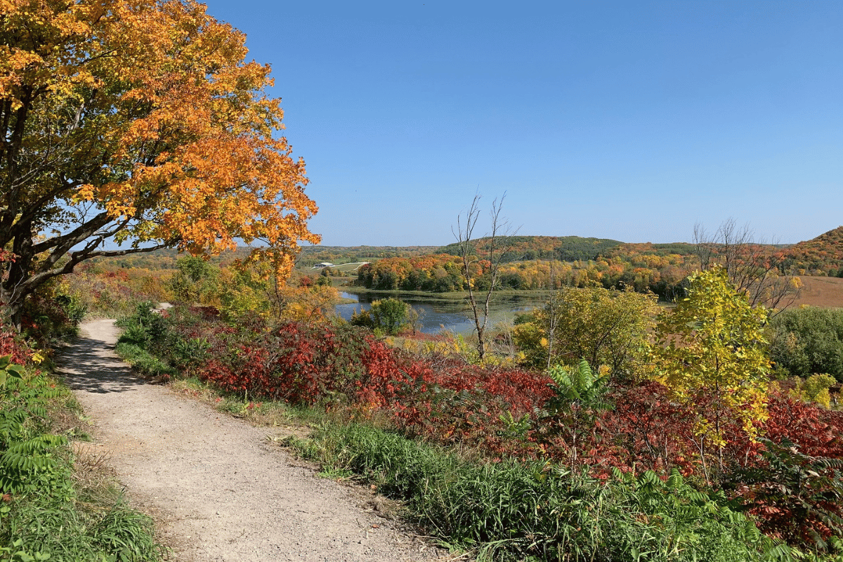 9 Best Things to Do at Maplewood State Park in Minnesota