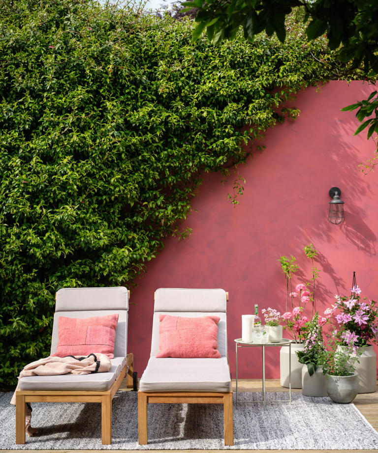 Where can you buy Benjamin Moore paint? Here's all you need to know ...
