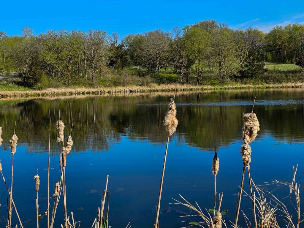 9 Best Things to Do at Maplewood State Park in Minnesota