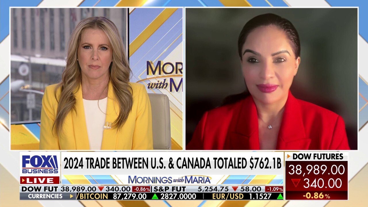Ex-Canadian MP predicts Trump tariffs will have 'dramatic' effect on ...
