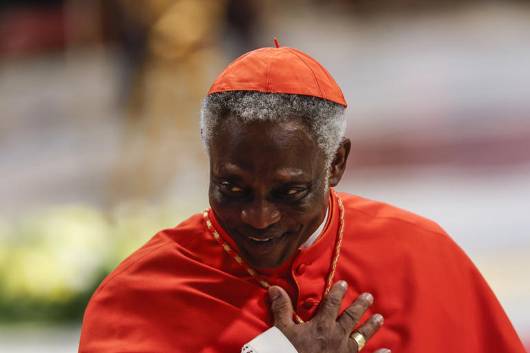 Who could be the next pope after Vatican issues update on Francis