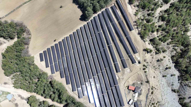 Reddit users are turning their usernames into hilarious AI-generated ...