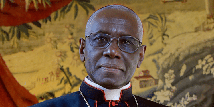 Meet Cardinal Robert Sarah: A Possible African Successor to Pope Francis