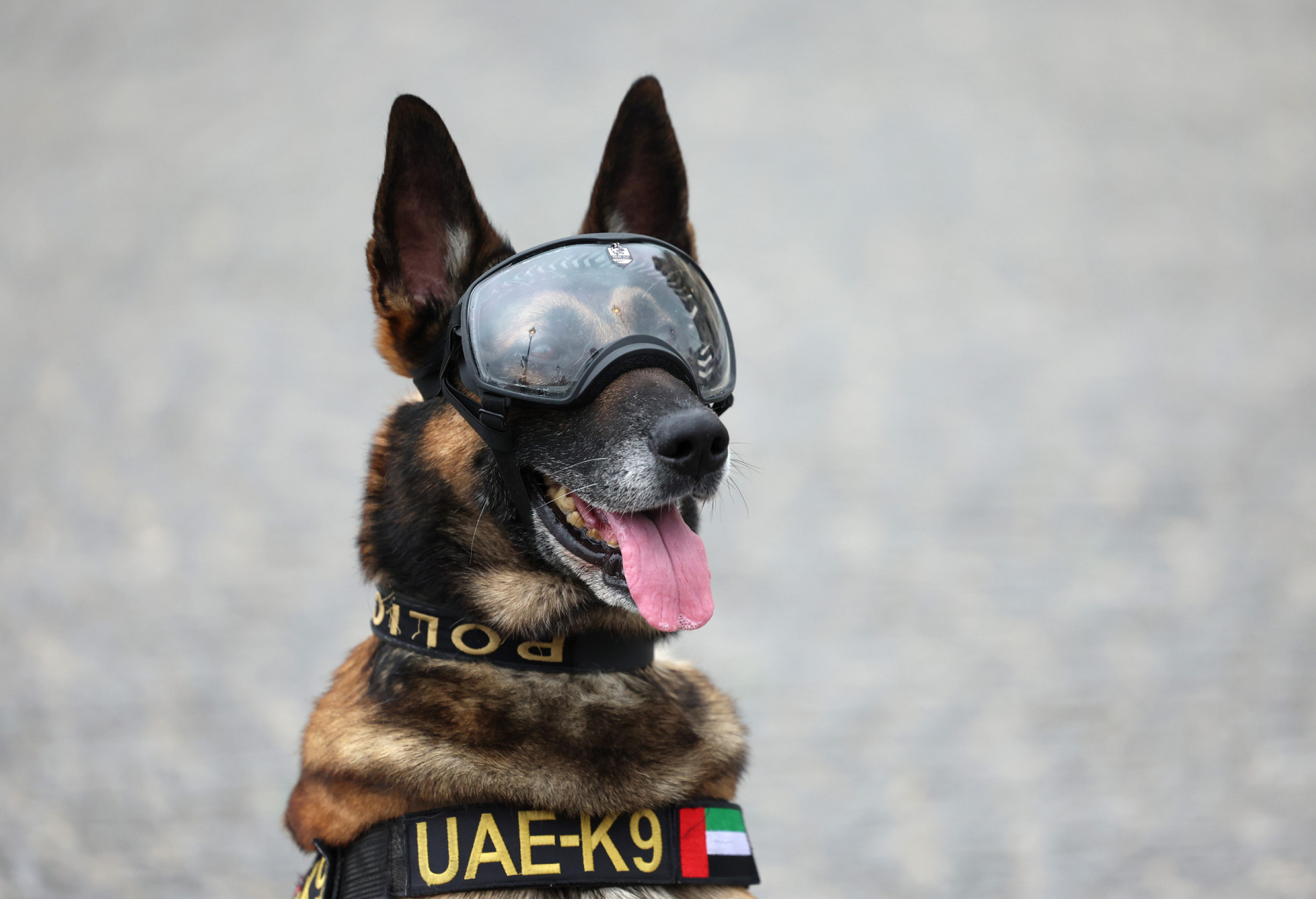 What police uniforms look like around the world