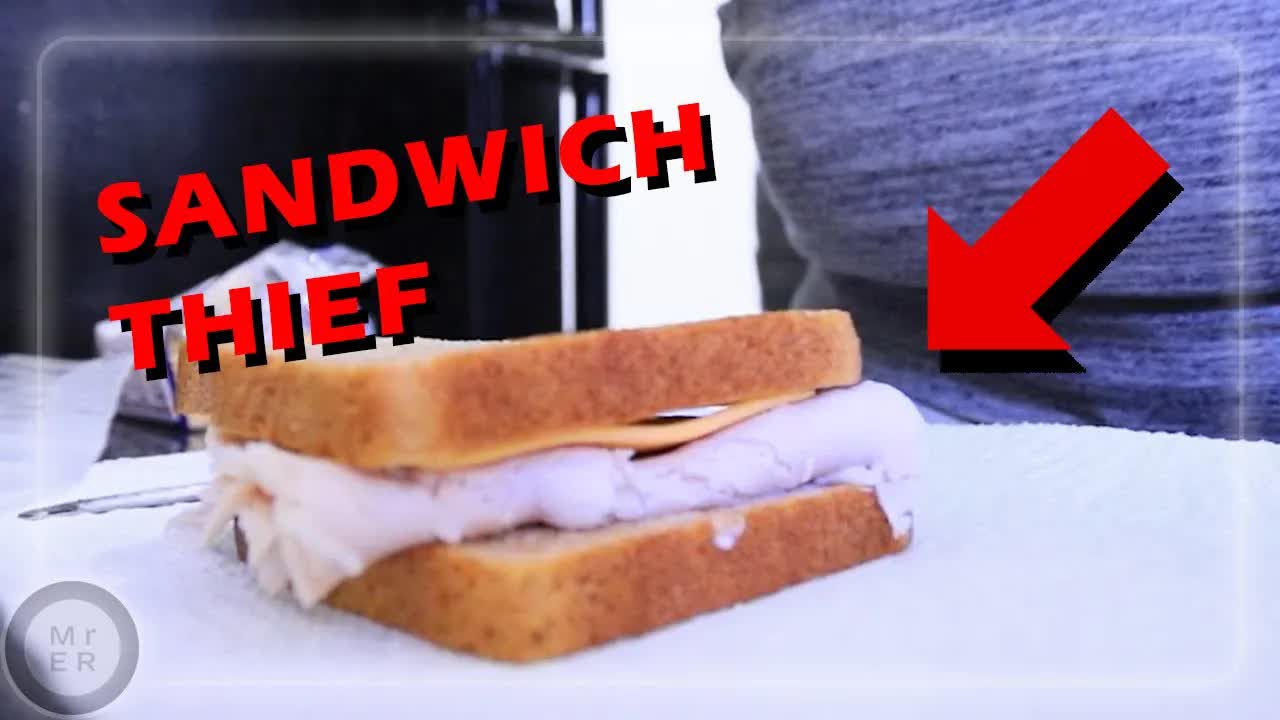 Sandwich Thief