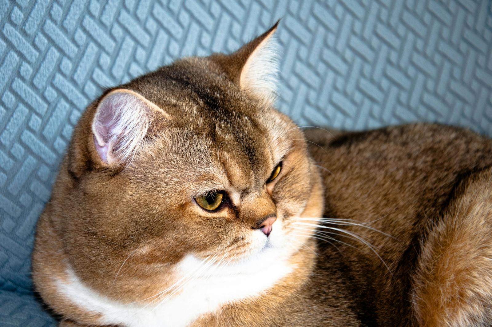 Understanding 'the ick': how small things impact relationships