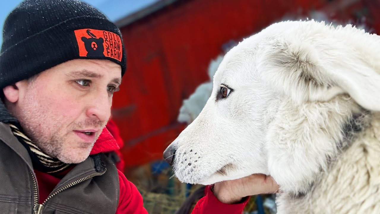 Discover big changes arriving for animals on the farm this year