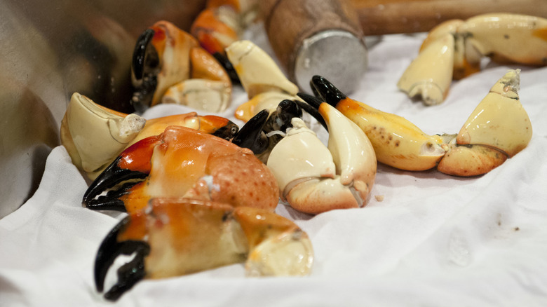 How A Small, Local Florida Restaurant Became One Of The Most Successful ...