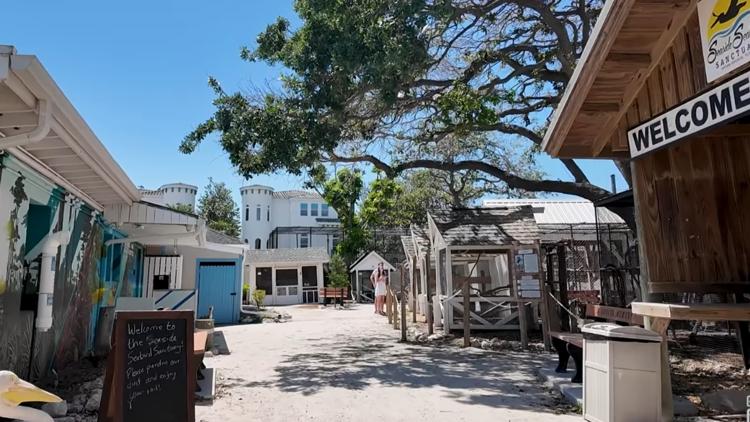 VIDEO: Florida's Seaside Seabird Sanctuary shows off rebuild progress ...