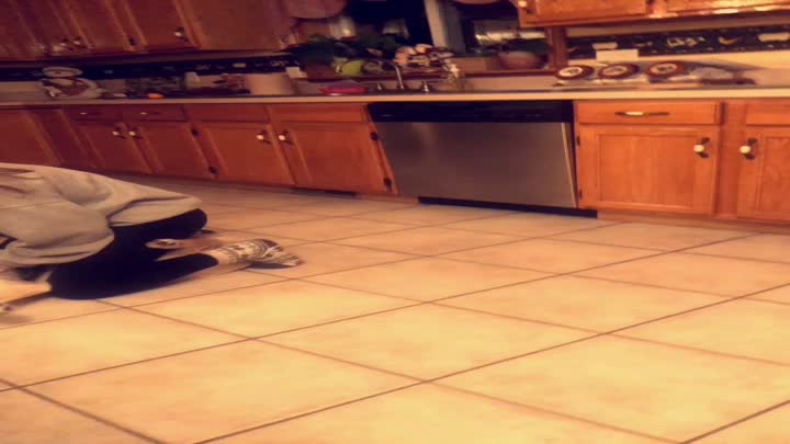 Smiling Dog Gets the Ultimate Belly Rub From Owner