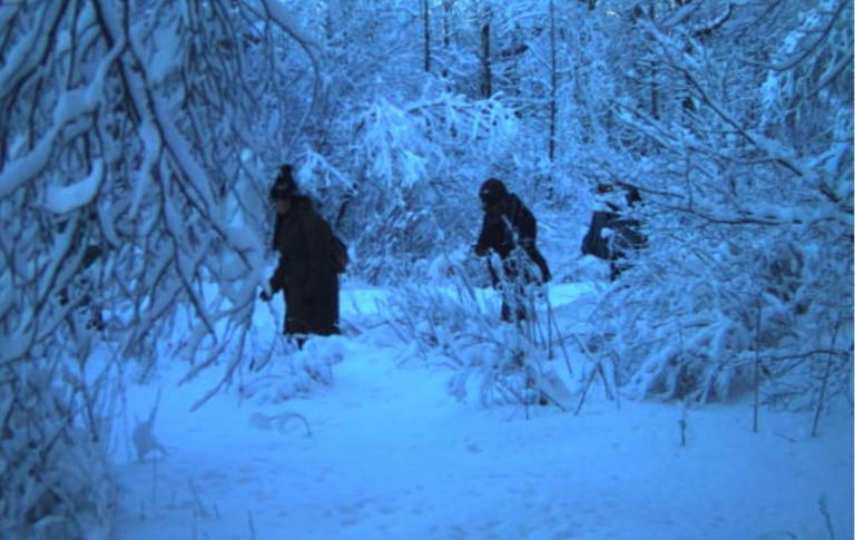 Northern border sector previously overrun by illegal migrants sees ...