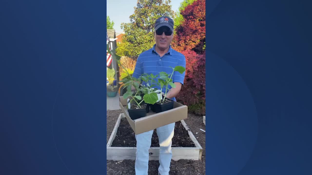 Tom Patton shares his top spring planting tips