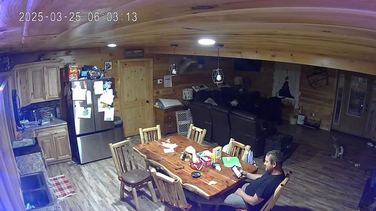 Man Unfazed by Kangaroo Jumping on Counter Top