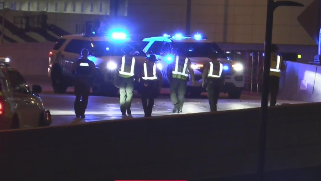 Lyons man charged in fatal 2024 shooting of postal worker on Stevenson ...