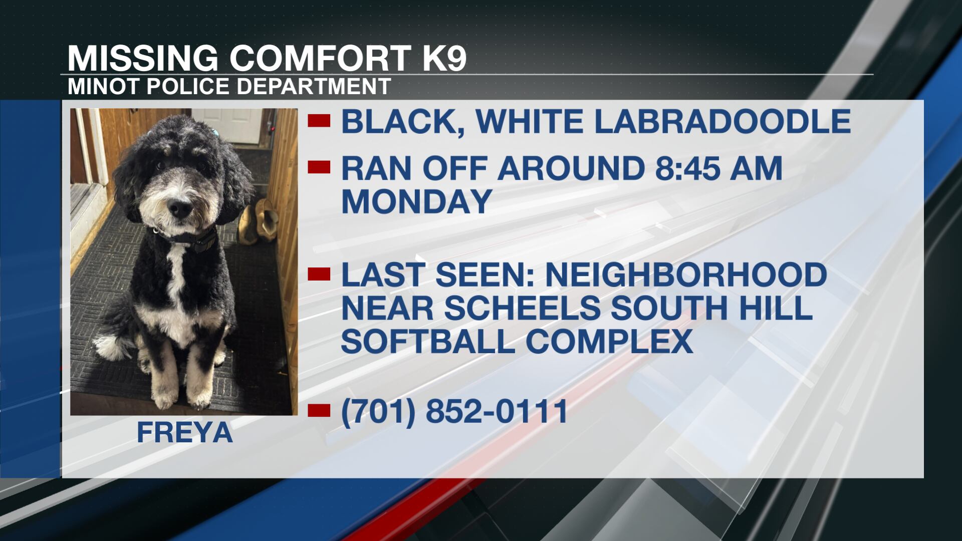 UPDATE: Missing Comfort K9 with Minot PD located safe