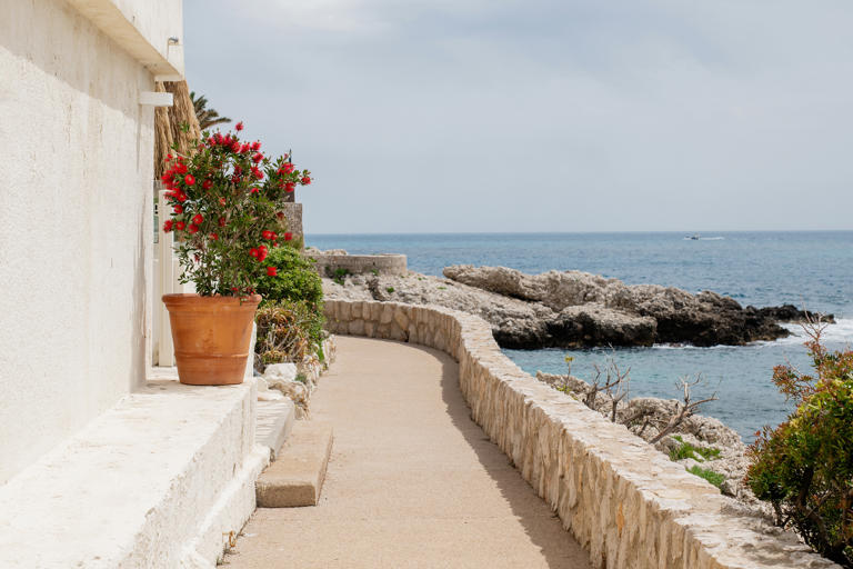 Chic and Meaningful: How to Style Floral Leis for Elegant Celebrations