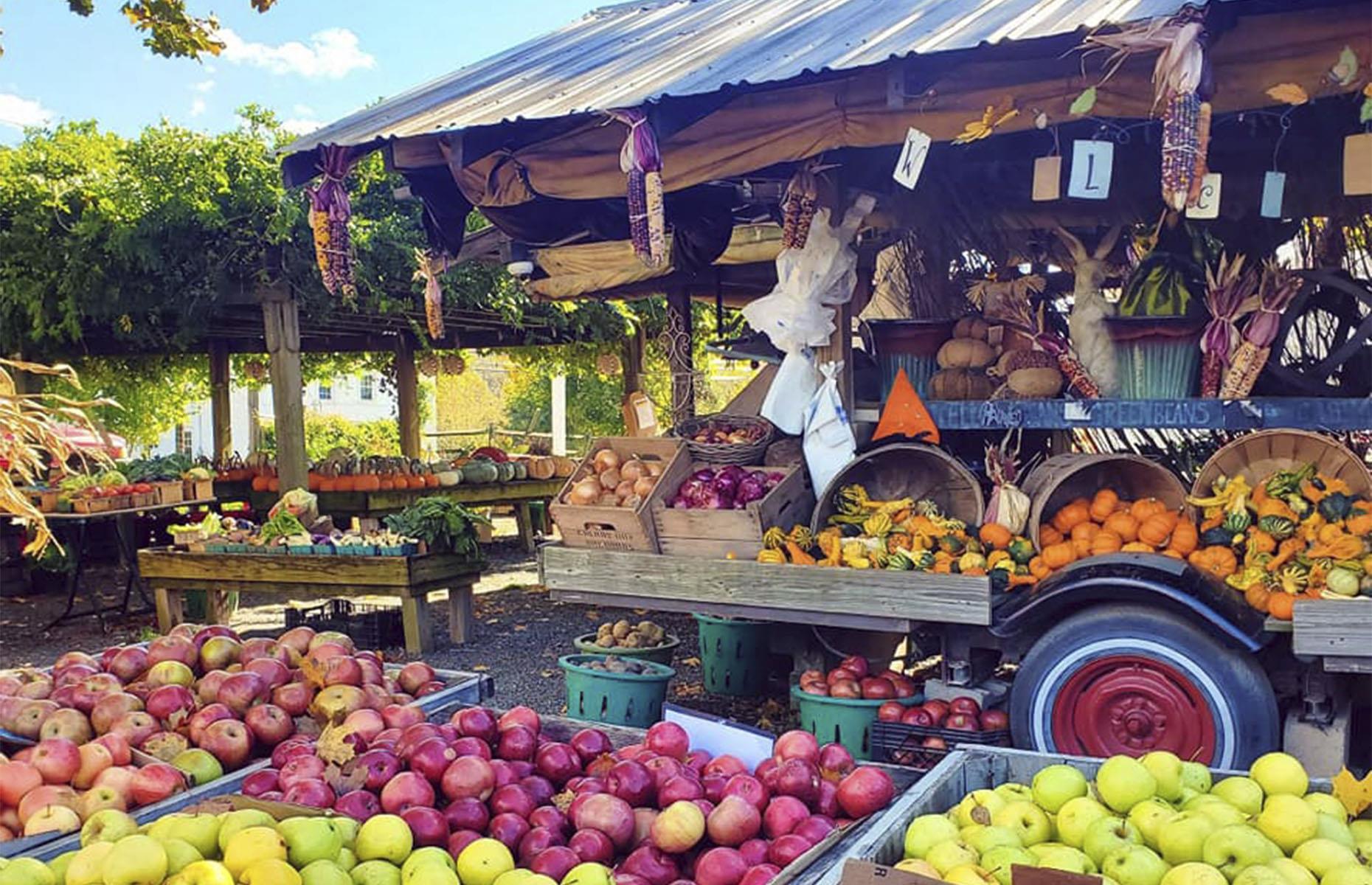 Every State's Most Fantastic Farm Shops For Delicious Fresh Produce