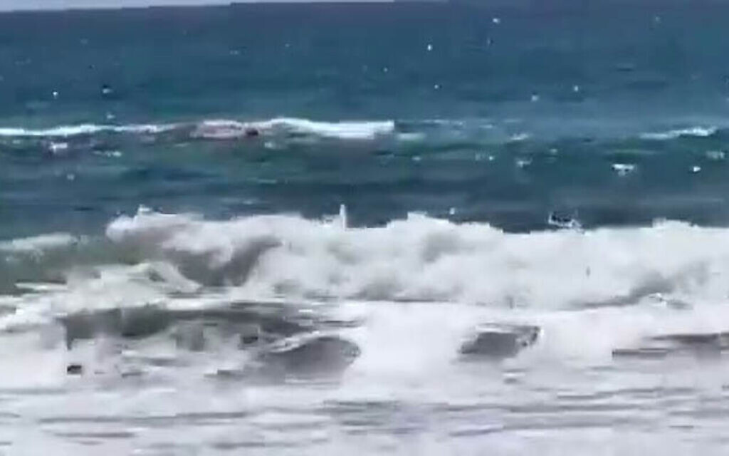 Diver missing after being attacked by shark off coast of Hadera