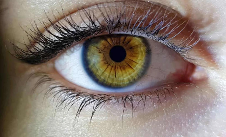 Scientists Just Invented a New Color — And Your Eyes Were Never Meant ...