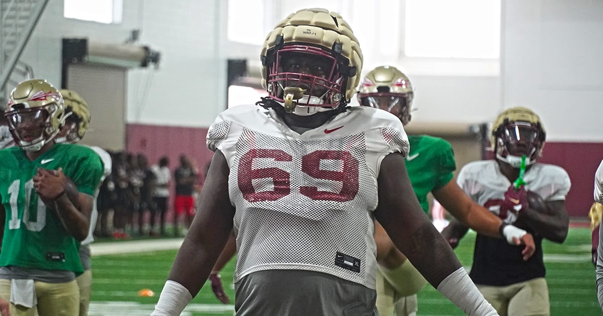 Florida State OL Terrence Ferguson plans to enter NCAA Transfer Portal