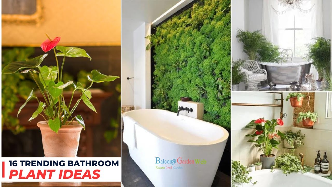 16 Trending Bathroom Plant Ideas