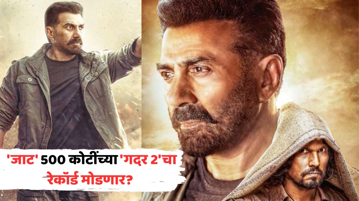 Jaat Box Office Collection Day 12: सनी देओलचा 'ढाई किलो का हाथ' बॉक्स ...