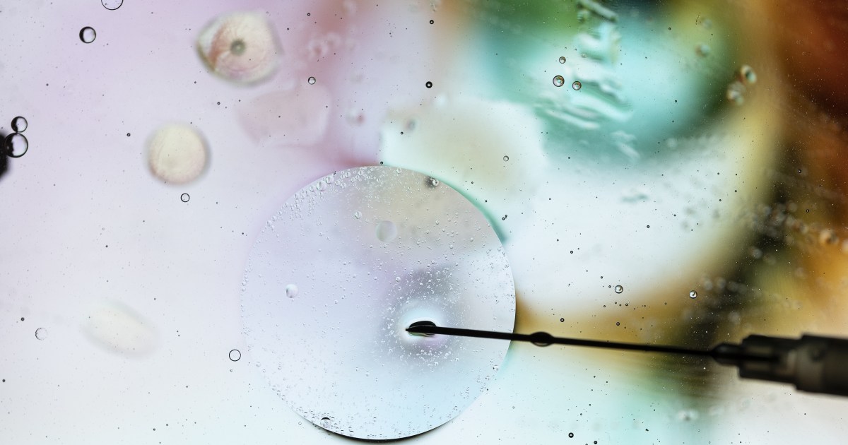 なんと「サメ」を「人工子宮」で育てるという日本人研究者の驚愕の試み…その衝撃の一部始終！