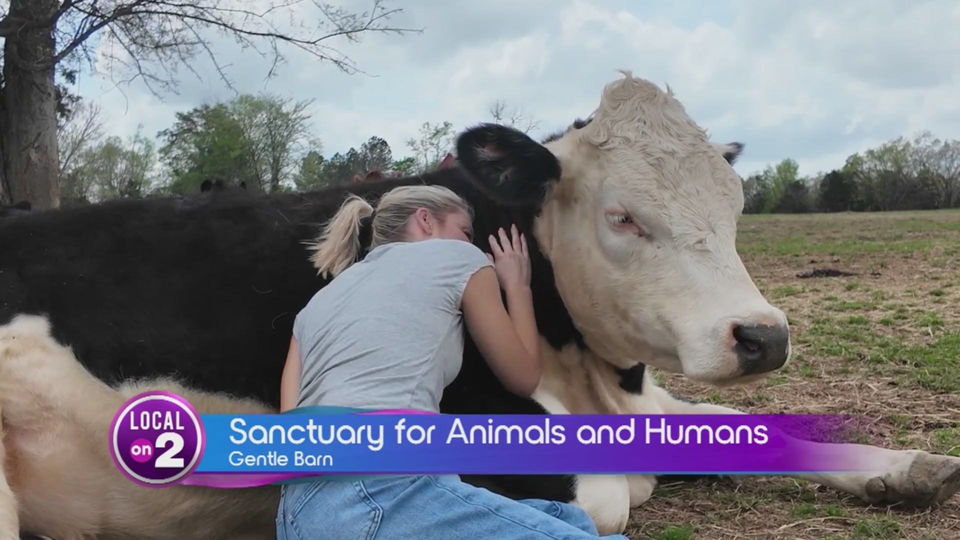 The Gentle Barn: Inspiring Kindness and Compassion