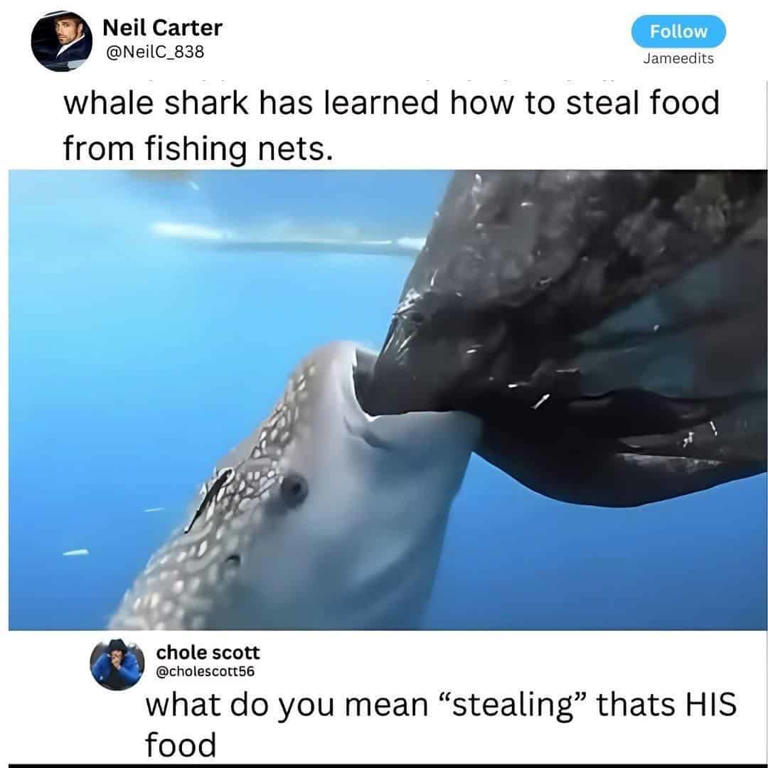 43 High IQ Memes For The Cleverest Minds And Sharpest Wits