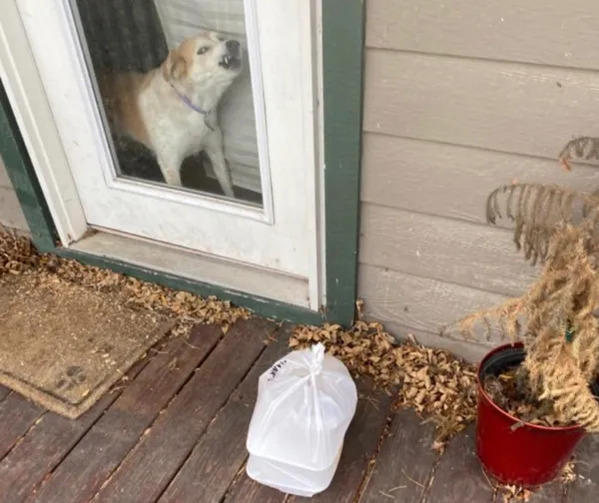 34 Funny DoorDash Texts That Were More Memorable Than The Meal