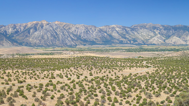 A Historic Nevada Town Brimming With Adventure And Beauty Captures The ...