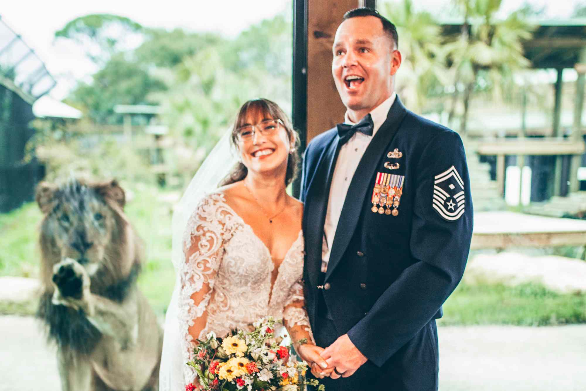 Lion Crashes Florida Couple's Wedding in Shocking Images: 'No One Was Looking at the Bride ...