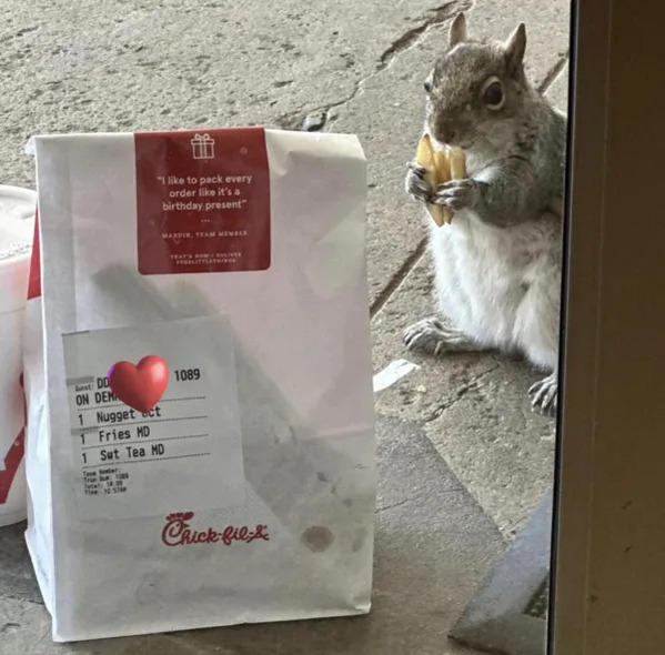 34 Funny DoorDash Texts That Were More Memorable Than The Meal