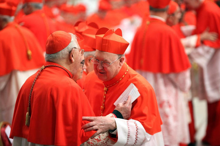 Cardinal Kevin Farrell's role: The man leading the Church between popes