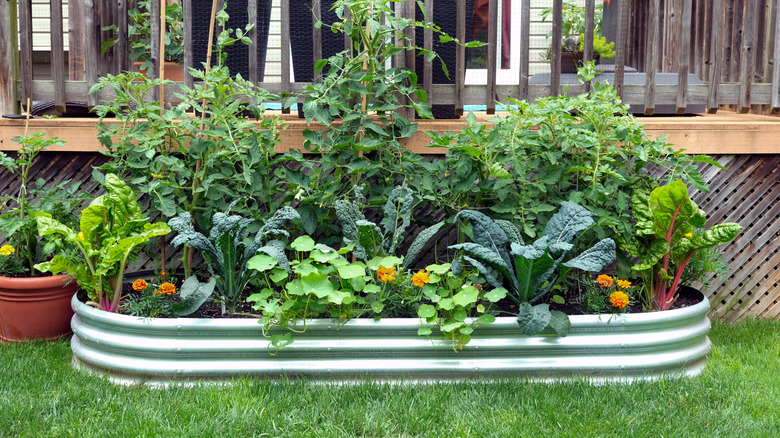 The Overlooked Mistake That's Making Your Garden Beds Look Bad