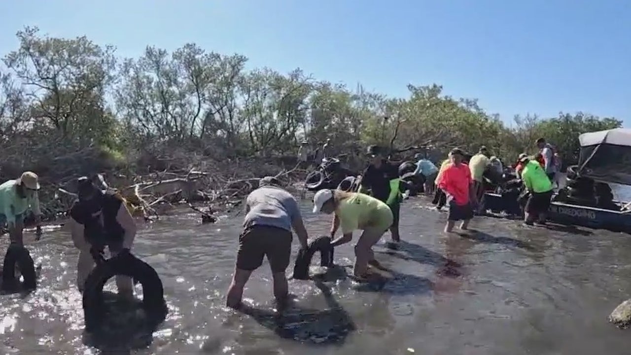 Hundreds of tires dumped in Indian River Lagoon finally being removed ...