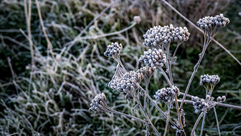 Simple Tweak Creates ‘Super’ Stem Cells With Enhanced Abilities