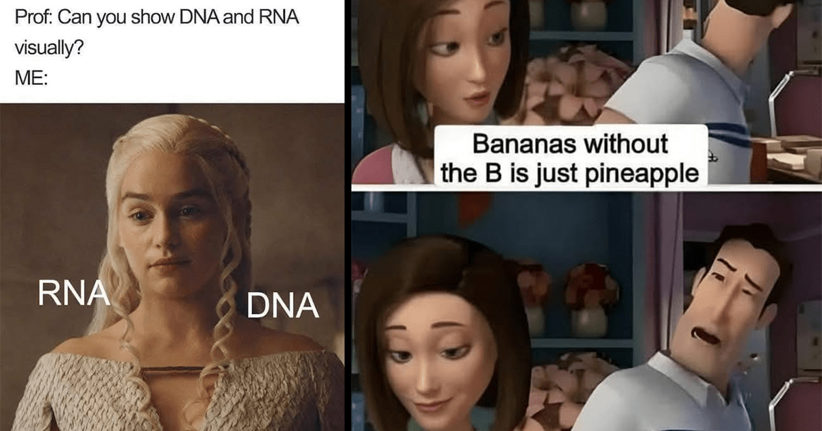 43 High IQ Memes For The Cleverest Minds And Sharpest Wits