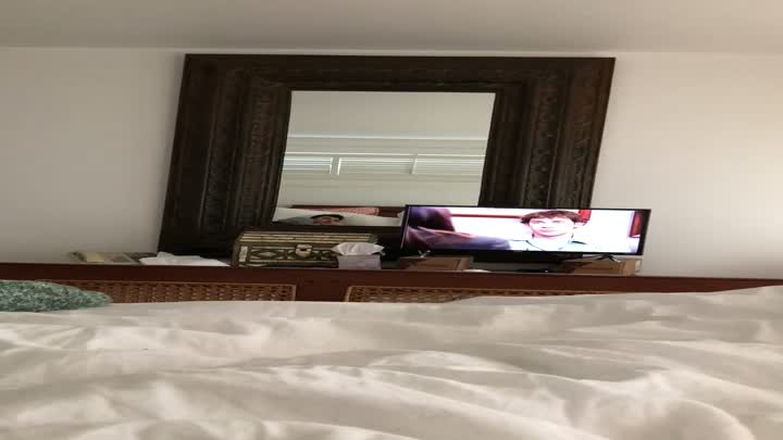 Adorable Yorkie Performs Impressive Bed-Jumping Stunt