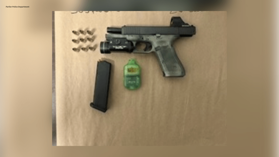 Driver admits to being gang member during traffic stop in Parlier ...