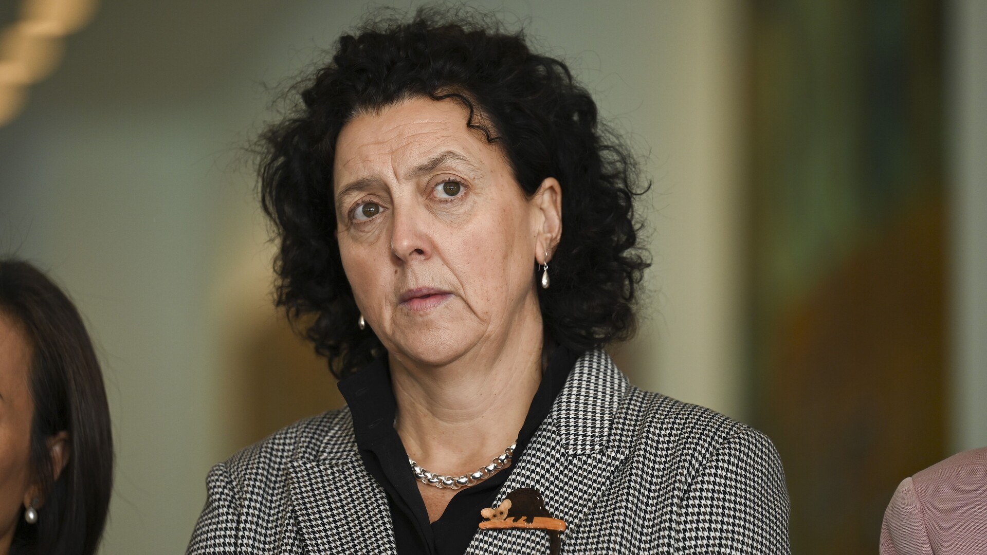 ‘The Teals revealed’: Monique Ryan refuses Sky News interview