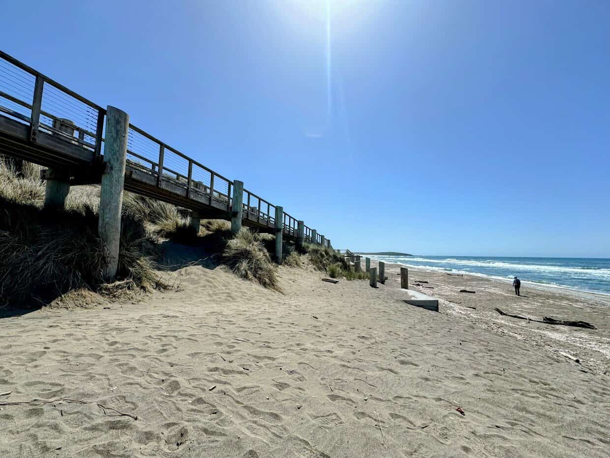 From windswept cliffs to hidden forest loops, this California region ...