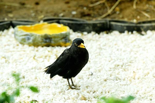 12 Most Relatable TV Moms from the ’80s – Even When They Were Totally ...