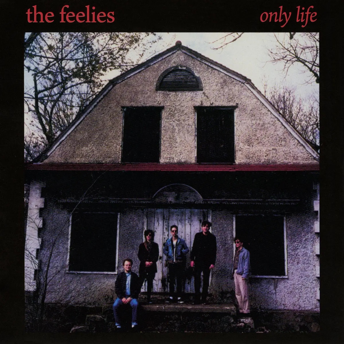 The Feelies - Only Life