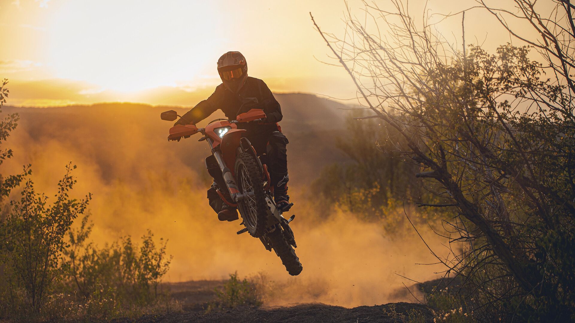 10 Best Dual-Sport Motorcycles For Riders Who Love Practicality And ...