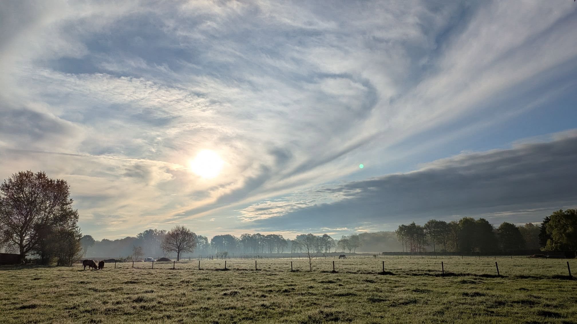 Weerman Samuel: "Dan wordt het kletsnat, maar beterschap is op komst"