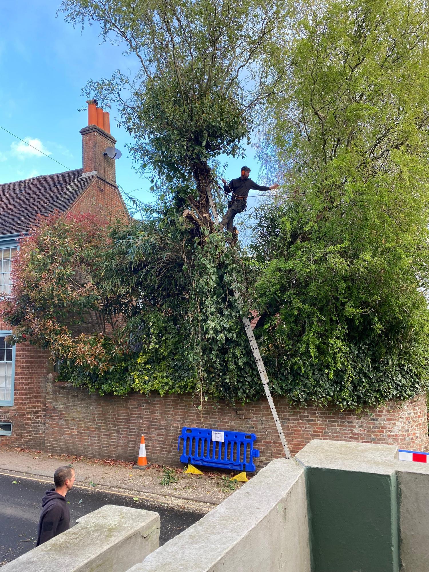 Hurstpierpoint Village News