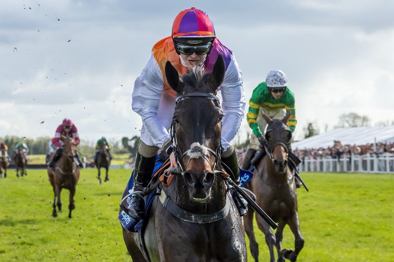 Ted Walsh pays tribute to 'great horse' Any Second Now as retirement ...