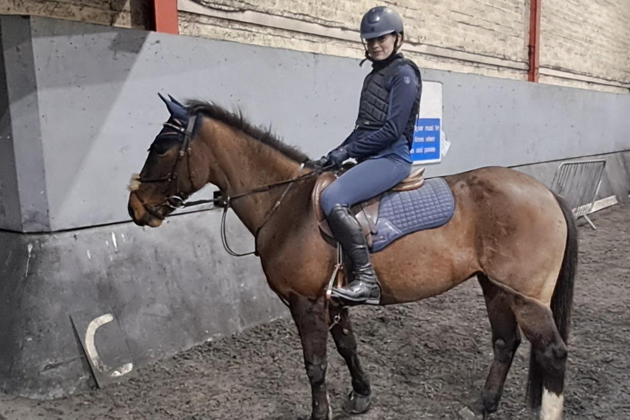 Horse Week: A super start for Ecclesville’s showjumping league